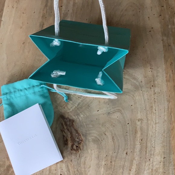 Tiffany & Co. | Accessories | Tiffany Co Gift Bag Wpouch Xs | Poshmark